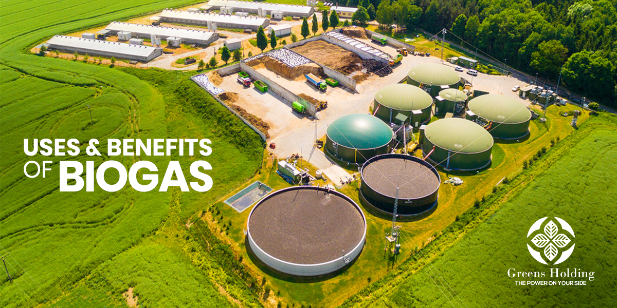 Natural Uses and Benefits of Biogas | Greens Holding